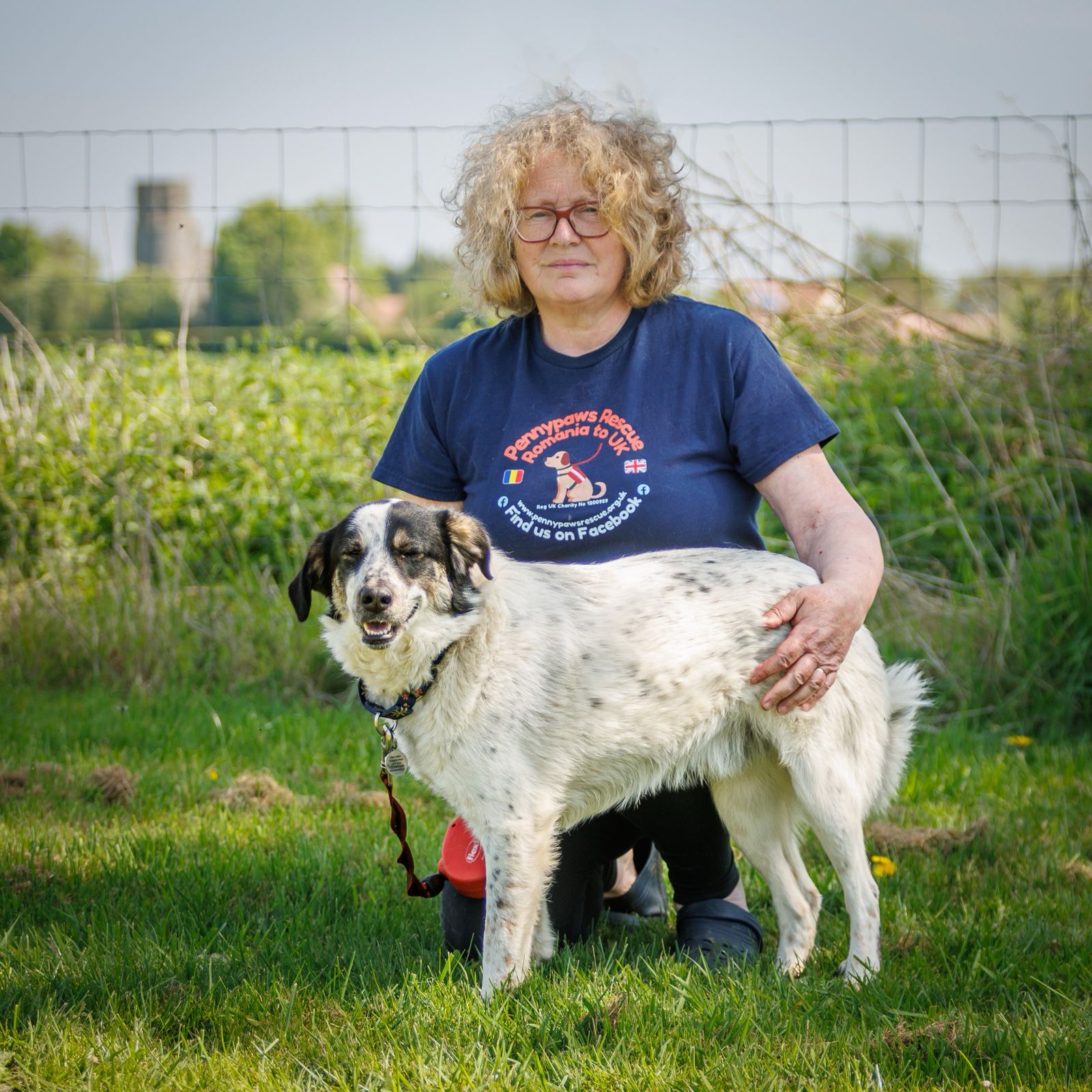 Oreo - Pennypaws Rescue